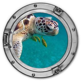 K&L WALL ART Alu-Dibond-Poster Rund Metalloptik Wandbild Schildkröte 3D Optik Bullauge Fenster Ozean ø 70cm - bunt