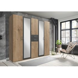 Kleiderschrank wimex "Diver Drehtürenschrank mit Spiegel und Schubladen Garderobe" Schränke Gr. B/H/T: 225 cm x 207 cm x 58 cm, 6 St., grau (plankeneichefarben, graphit) Bestseller Schrank Schlafzimmerschrank in Breite 225cm und 270cm