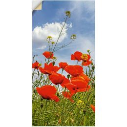 Artland Wandbild Mohnblumen im Panorama, Blumenbilder (1 St), als Alubild, Outdoorbild, Wandaufkleber in verschied. Größen, rot