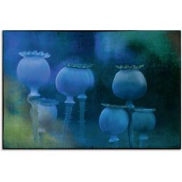 Artland Wandbild Blaumohn, Zen Bilder (1 St), als Alubild, Outdoorbild in verschied. Größen, blau