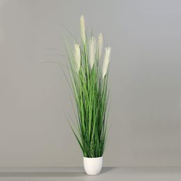 SONSTIGE Kunstpflanze Gräser (H 150 cm)
