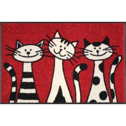 KLEEN-TEX Fußmatte THREE Cats (LBH 75x50x,70 cm)