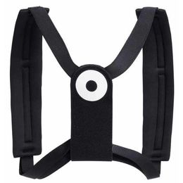 BLACKROLL New Posture Pro s/m/l - Rückengurt