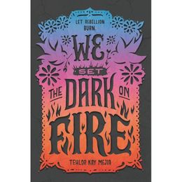 We Set the Dark on Fire - Tehlor Kay Mejia, Taschenbuch