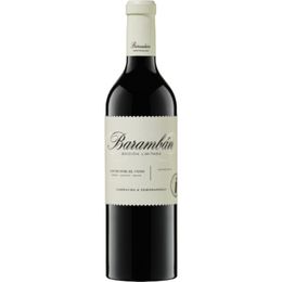 Locos Por El Vino Baramban, Campo de Borja DO, Campo de Borja, 2020, Rotwein