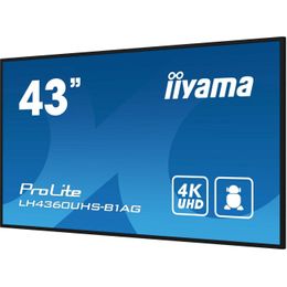 iiyama Dis Public 43 LH4360UHS-B1AG UHD TFT-Monitor (3840 x 2160 px