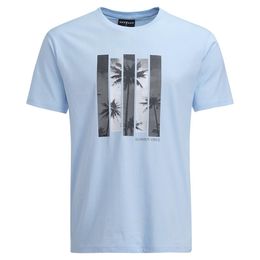 VanVaan Herren T-Shirt mit Sommer-Print