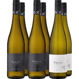 Weingut Trenz 6er-Probierpaket »Best of Trenz«