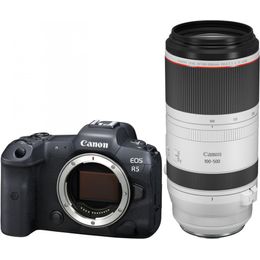 Canon EOS R5 + Canon RF 100-500mm f4,5-7,1L IS USM