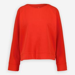 TK Maxx Rotes schlichtes Sweatshirt