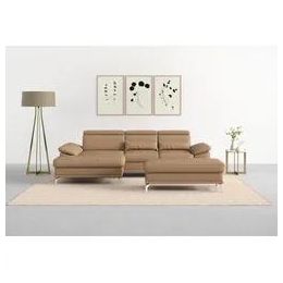 Sit & More Ecksofa SIT & MORE "Cabrio L-Form" Sofas Gr. B/H/T: 295 cm x 87 cm x 180 cm, NaturLEDER, Recamiere links, mit Sitztiefenverstellung-mit Kopfteilverstellung-mit Armteilfunktion-mit 2 Nierenkissen-Rücken Spannstoff, braun (cappucino) mit Sitztiefen- und Armteilverstellung sowie Federkern, 2 Nierenkissen