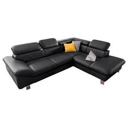 Ecksofa COTTA "Driver L-Form" Sofas Gr. B/H/T: 268cm x 73cm x 214cm, Leder BEEFY, Ottomane rechts, mit Kopfteilverstellung-ohne Bettfunktion und Bettkasten, schwarz mit Kopfteilverstellung, wahlweise Bettfunktion