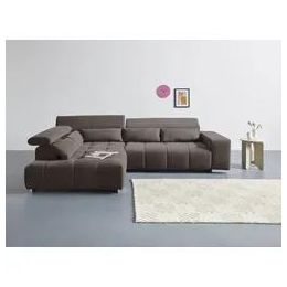 Ecksofa COTTA "Orion L-Form" Sofas Gr. B/H/T: 310cm x 70cm x 225cm, Luxus-Microfaser, Ottomane links, schwarz (charcoal) mit Ottomane, inklusive verstellbarer Kopfstützen und 5 Nierenkissen