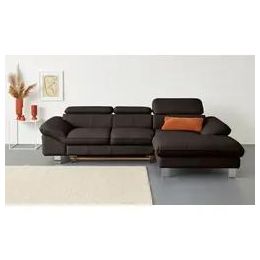 Ecksofa COTTA "Driver L-Form" Sofas Gr. B/H/T: 268cm x 73cm x 169cm, Leder BEEFY, Recamiere rechts, mit Kopfteilverstellung-ohne Bettfunktion und Bettkasten, braun inkl. Kopfteilverstellung, wahlweise mit Bettfunktion