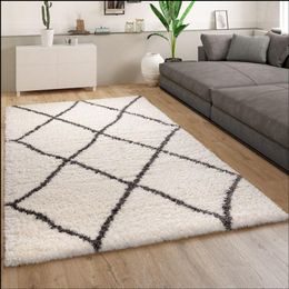 Hochflor Teppich Wohnzimmer Shaggy Langflor Skandinavisches Muster Creme Grau 160x230 cm - Paco Home