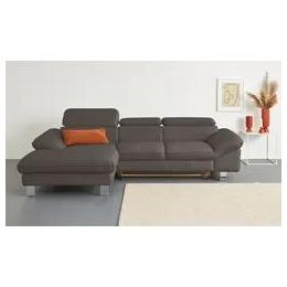 Ecksofa COTTA "Driver L-Form" Sofas Gr. B/H/T: 268 cm x 73 cm x 169 cm, NaturLEDER, Recamiere links, mit Kopfteilverstellung-ohne Bettfunktion und Bettkasten, braun (cacao) inkl. Kopfteilverstellung, wahlweise mit Bettfunktion