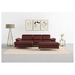 Sit & More Ecksofa SIT & MORE "Cabrio L-Form" Sofas Gr. B/H/T: 295cm x 87cm x 180cm, NaturLEDER, Recamiere links, mit Bettfunktion-mit Bettkasten-mit Sitztiefenverstellung-mit Kopfteilverstellung-mit Armteilfunktion-mit 2 Nierenkissen-Bett im Stoff bezogen, rot (merlot) mit Sitztiefen- und Armteilverstellung sowie Federkern, 2 Nierenkissen