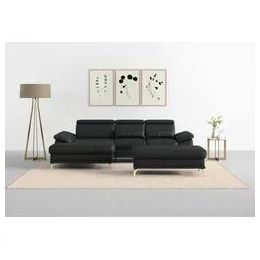 Sit & More Ecksofa SIT&MORE "Cabrio L-Form" Sofas Gr. B/H/T: 295 cm x 87 cm x 180 cm, NaturLEDER, Recamiere links, mit Bettfunktion-mit Bettkasten-mit Sitztiefenverstellung-mit Kopfteilverstellung-mit Armteilfunktion-mit 2 Nierenkissen-Bett im Stoff bezogen, schwarz mit Sitztiefen- und Armteilverstellung sowie Federkern, 2 Nierenkissen