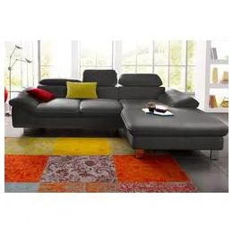 Ecksofa COTTA "Driver L-Form" Sofas Gr. B/H/T: 268cm x 73cm x 169cm, Kunstleder SOFTLUX, Recamiere rechts, mit Kopfteilverstellung-ohne Bettfunktion und Bettkasten, grau (fango) inkl. Kopfteilverstellung, wahlweise mit Bettfunktion