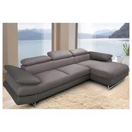 Ecksofa Inosign "Solution L-Form", grau (grau, grau), B:270cm H:73cm T:167cm, Sofas, wahlweise mit Bettfunktion