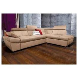 Ecksofa exxpo - SOFA FASHION "Salerno, klassisch modernes Funktionssofa, hoher Sitzkomfort, L-Form", braun (cappuccino), B:268cm H:77cm T:204cm, NaturLeder, Primabelle-Microfaser (100% Polyester), Luxus-Kunstleder, Sofas, inkl. Kopf- und Armteilverstellung, wahlweise mit Bettfunktion