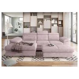 Sit & More Ecksofa SIT&MORE "Cabrio L-Form" Sofas Gr. B/H/T: 295 cm x 87 cm x 180 cm, Struktur weich, Recamiere links, mit Bettfunktion-mit Bettkasten-mit Sitztiefenverstellung-mit Kopfteilverstellung-mit Armteilfunktion-mit 2 Nierenkissen, rosa (rose) mit Sitztiefen- und Armteilverstellung sowie Federkern, 2 Nierenkissen