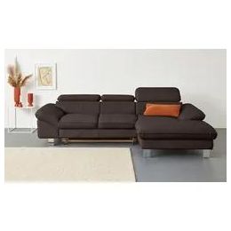 Ecksofa COTTA "Driver L-Form" Sofas Gr. B/H/T: 268 cm x 73 cm x 169 cm, Flachgewebe fein TBB, Recamiere rechts, mit Kopfteilverstellung-mit Bettfunktion und Bettkasten, braun (espresso) inkl. Kopfteilverstellung, wahlweise mit Bettfunktion