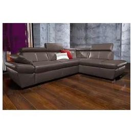 Ecksofa exxpo - SOFA FASHION "Salerno, klassisch modernes Funktionssofa, hoher Sitzkomfort, L-Form", braun (schoko), B:268cm H:77cm T:204cm, NaturLeder, Primabelle-Microfaser (100% Polyester), Luxus-Kunstleder, Sofas, inkl. Kopf- und Armteilverstellung, wahlweise mit Bettfunktion