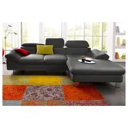 Ecksofa COTTA "Driver L-Form" Sofas Gr. B/H/T: 268cm x 73cm x 169cm, Kunstleder SOFTLUX, Recamiere rechts, mit Kopfteilverstellung-mit Bettfunktion und Bettkasten, grau (fango) inkl. Kopfteilverstellung, wahlweise mit Bettfunktion