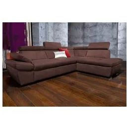 Ecksofa exxpo - SOFA FASHION "Salerno, klassisch modernes Funktionssofa, hoher Sitzkomfort, L-Form" Sofas Gr. B/H/T: 268 cm x 77 cm x 204 cm, Microfaser PRIMABELLE, Ottomane rechts, ohne Bettfunktion-ohne Bettkasten, braun (dunkelbraun) inkl. Kopf- und Armteilverstellung, wahlweise mit Bettfunktion