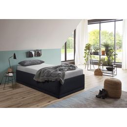 Polsterbett "Texel", schwarz, B:126cm H:42cm L:206cm, Bezug Bett: Veloursstoff 100% Polyester oder Microfaser (100% Polyester);Bonnell-Federkernmatratze: 51% Polypropylen, 39% Polyester und 10% Baumwolle;Kaltschaummatratze: 100% Polyester, Bezug abnehm- und waschbar bis 60C;Kissenbezug: 100% Polyester, Füllung : 100% Polyester (Hohlfaser), Westfalia Schlafkomfort, Betten, Komforthöhe mit Zierkisse