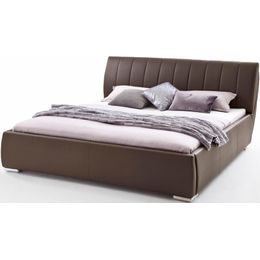 Meise Möbel Polsterbett MEISE.MÖBEL "Luna", braun, L:240cm, Bezug Bett: Kunstleder, Betten, Bett Möbel Stauraumbett Kunstlederbett Bettgestell Polsterbett, mit Lattenrost und Bettkasten