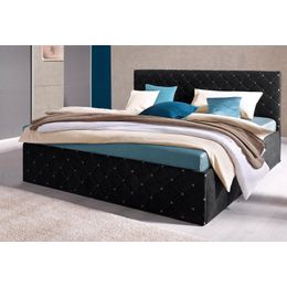 Polsterbett, schwarz, B:170cm L:212cm, Bezug Bett: Microfaser (100% Polyester);Bonnell-Federkernmatratze: 51% Polypropylen, 39% Polyester, 10% Baumwolle;Kaltschaummatratze: 100% Polyester, Bezug abnehm- und waschbar bis 60C, Westfalia Schlafkomfort, Betten, inkl. Bettkasten bei Ausführung mit Matratze