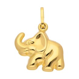 Adelia´s Ketten-Anhänger ADELIA´S "333 Gold Anhänger Elefant" Schmuckanhänger Gr. Kinder, Gelbgold 333, goldfarben (gold) Damen Anhänger Goldschmuck für