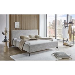 Meise Möbel Polsterbett MEISE.MÖBEL "Riva II", braun (toffee, toffee), B:205cm L:216cm, Betten, mit schwarzen Metallfüßen, wahlweise mit Bettkasten