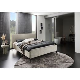 Meise Möbel Polsterbett MEISE.MÖBEL "Riva II", beige (greige, greige), B:185cm L:216cm, Betten, mit schwarzen Metallfüßen, wahlweise mit Bettkasten