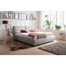 Meise Möbel Polsterbett MEISE.MÖBEL "Atesio", grau (hellgrau), B:199cm H:103cm L:225cm, Bezug Bett: Stoff (90% Polyester, 10% Baumwolle), Betten, Wahlweise mit Lattenrost, Matratze und Bettkasten, Topseller