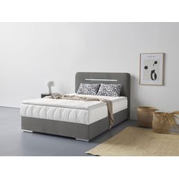 Boxbett COTTA "Lighstar", grau, B:146cm L:207cm, Komplettbetten, Boxspringbett, inklusive LED-Beleuchtung, Topper, Bettkasten und Zierkissen