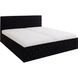 Polsterbett, schwarz, B:190cm L:212cm, Bezug Bett: Microfaser (100% Polyester);Bonnell-Federkernmatratze: 51% Polypropylen, 39% Polyester, 10% Baumwolle;Kaltschaummatratze: 100% Polyester, Bezug abnehm- und waschbar bis 60C, Westfalia Schlafkomfort, Betten, inkl. Bettkasten bei Ausführung mit Matratze