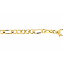 Adelia´s Goldarmband ADELIA´S "333 Gold Figaro Armband 19 cm Ø 3,3 mm" Armbänder Gr. 19, Gelbgold 333, goldfarben (gold) Damen Armbänder Gold Goldschmuck für