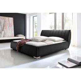 Meise Möbel Polsterbett MEISE.MÖBEL "Luna", schwarz, L:240cm, Bezug Bett: Kunstleder, Betten, Bett Möbel Stauraumbett Kunstlederbett Bettgestell Polsterbett, mit Lattenrost und Bettkasten