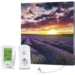 Marmony Infrarotheizung "Motiv Lavendel" Heizkörper BxHxT: 50x60x2 cm, mit Fernbedienung und Timer Gr. B/H/T: 50 cm x 60 cm x 2 cm, 500 W, mittig, bunt Heizkörper