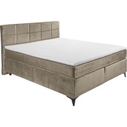 Boxspringbett ED EXCITING DESIGN "Navarra", grau (stone), B:183cm L:210cm, 100% Polyester, Komplettbetten, Boxspringbett, wahlweise mit Matratze