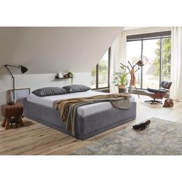 Polsterbett "Texel", grau (anthrazit), B:186cm, Bezug Bett: Veloursstoff 100% Polyester oder Microfaser (100% Polyester);Bonnell-Federkernmatratze: 51% Polypropylen, 39% Polyester und 10% Baumwolle;Kaltschaummatratze: 100% Polyester, Bezug abnehm- und waschbar bis 60C;Kissenbezug: 100% Polyester, Füllung : 100% Polyester (Hohlfaser), Westfalia Schlafkomfort, Betten, Komforthöhe mit Zierkissen, Bet