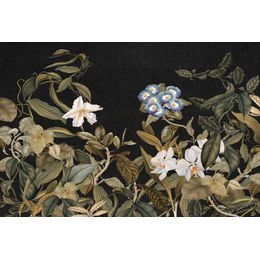 ARCHITECTS PAPER Fototapete "Atelier 47 Botanic Sketch 1" Tapeten Vlies, Wand, Schräge, Decke Gr. B/L: 4 m x 2,7 m, bunt (grün, blau, weiß, schwarz) Fototapeten Blumen