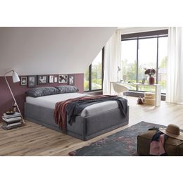 Polsterbett "Texel", grau (anthrazit), B:146cm H:42cm L:206cm, Bezug Bett: Veloursstoff 100% Polyester oder Microfaser (100% Polyester);Bonnell-Federkernmatratze: 51% Polypropylen, 39% Polyester und 10% Baumwolle;Kaltschaummatratze: 100% Polyester, Bezug abnehm- und waschbar bis 60C;Kissenbezug: 100% Polyester, Füllung : 100% Polyester (Hohlfaser), Westfalia Schlafkomfort, Betten, Komforthöhe mit 