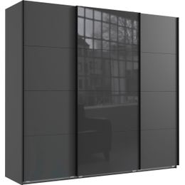 Schwebetürenschrank wimex "Norderstedt" Schränke Gr. B/H/T: 225 cm x 210 cm x 64 cm, 3 St., grau (graphit, glas grey) Schwebetürenschränke und Schiebetürenschränke INKLUSIVE 2 Stoffboxen zusätzliche Einlegeböden, mit Glastür