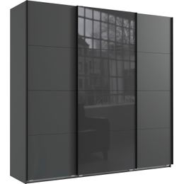 Schwebetürenschrank wimex "Norderstedt" Schränke Gr. B/H/T: 225 cm x 236 cm x 64 cm, 3 St., grau (graphit, glas grey) INKLUSIVE 2 Stoffboxen und zusätzliche Einlegeböden, mit Glastür