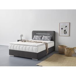 Boxbett COTTA "Lighstar", grau (anthrazit), B:146cm L:207cm, Komplettbetten, Boxspringbett, inklusive LED-Beleuchtung, Topper, Bettkasten und Zierkissen