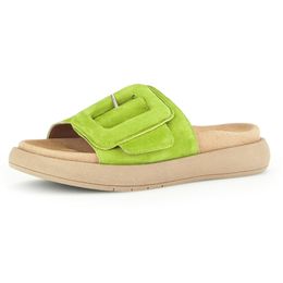 Pantolette Gabor Gr. 39, grün (apfelgrün) Damen Schuhe Pantoletten Plateau, Sommerschuh, Schlappen mit großer Zierschnalle Bestseller